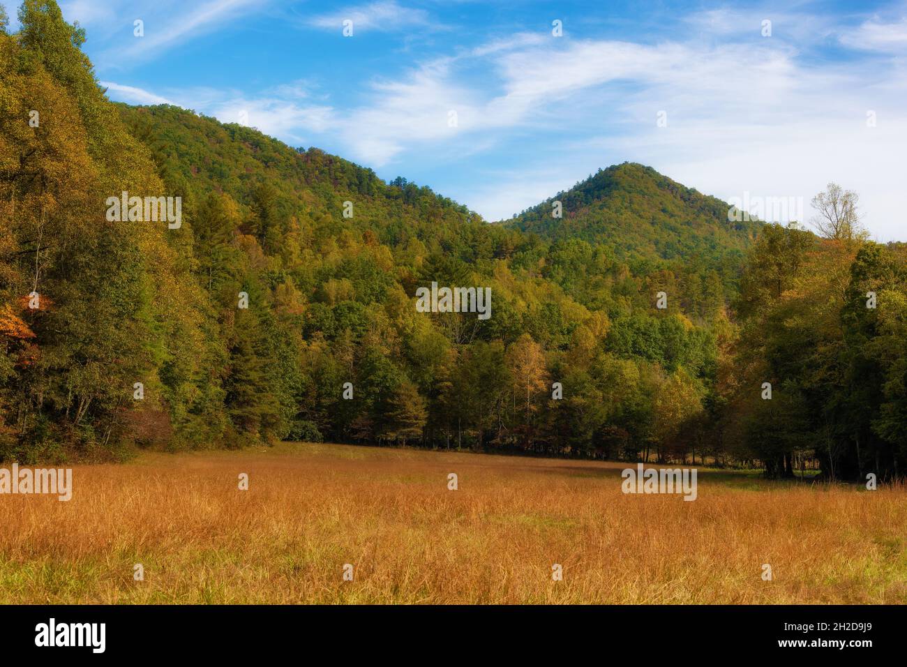 Autumn colors in the beautiful vallies of Big Cataloochee and Little ...