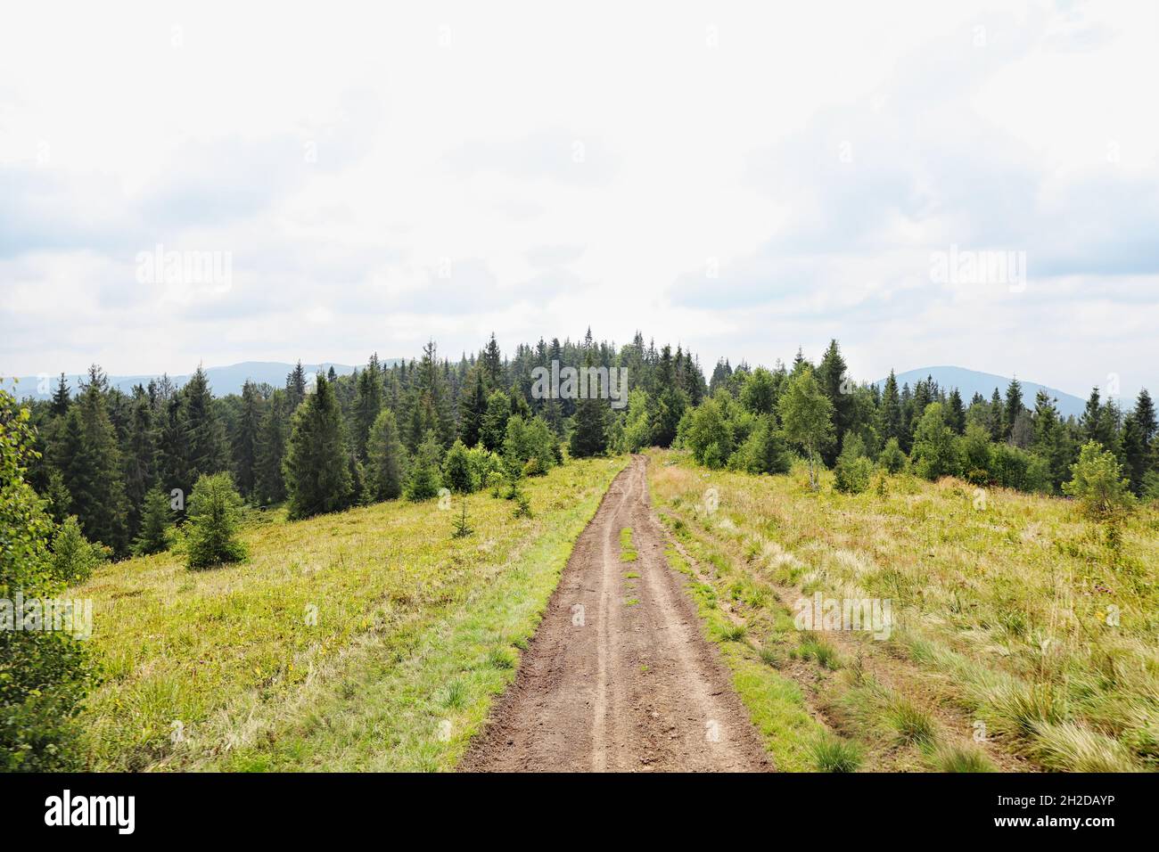 Picturesque landscape with pathway in mountain forest Stock Photo - Alamy