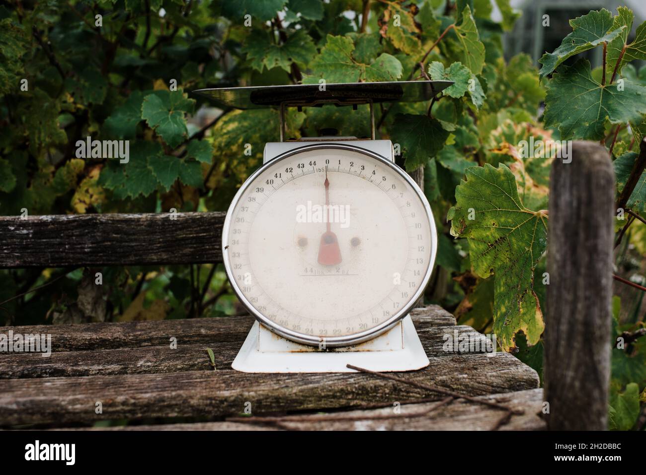 Old weighing machine scales hi-res stock photography and images - Alamy