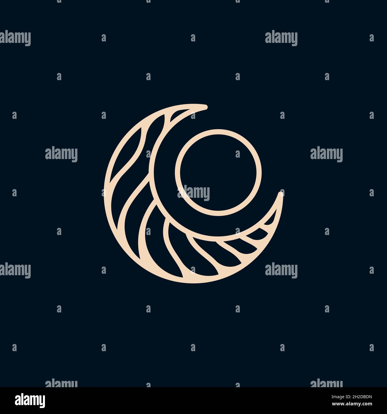 Moon Vector icon design illustration Template Stock Photo - Alamy