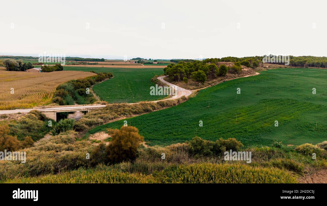 Aerial view of some corn fields Stock Photo - Alamy