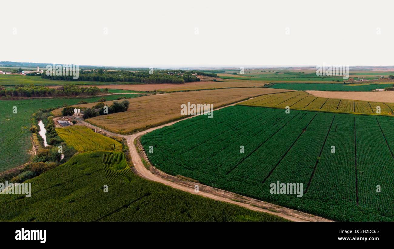 Aerial view of some corn fields Stock Photo - Alamy