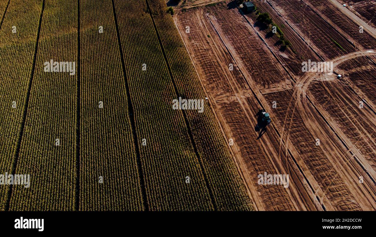 aerial view of a tractor in a cultivated field next to another field ...
