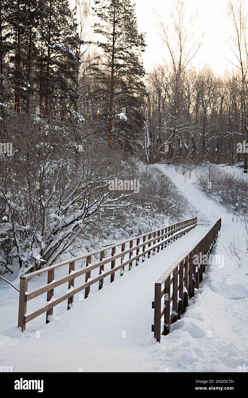 Winter snow-covered wooden bridge to the park. Perspective photo. The ...