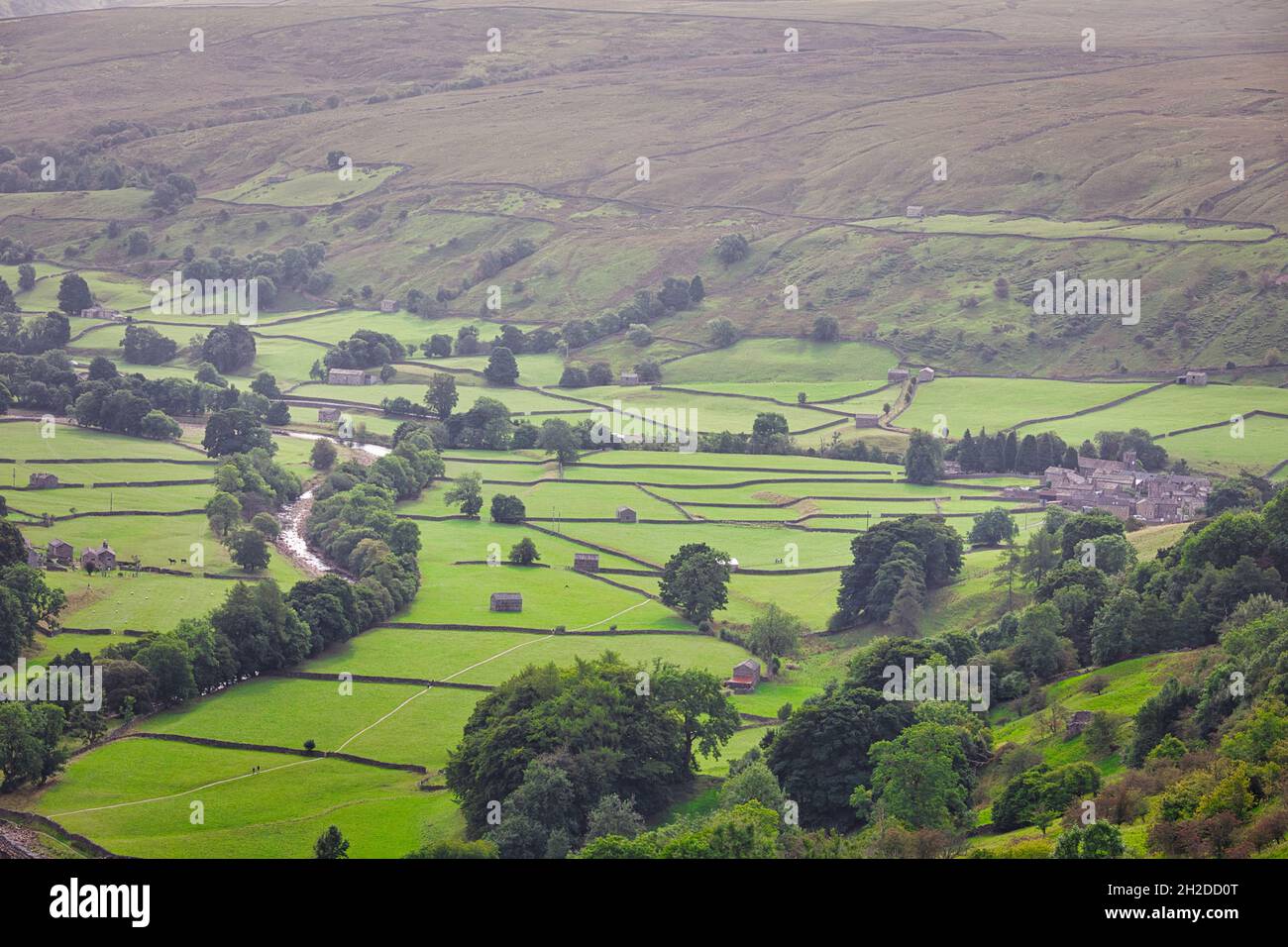 View of Swaledale with dry stone walls, stone barns, River Swale and ...