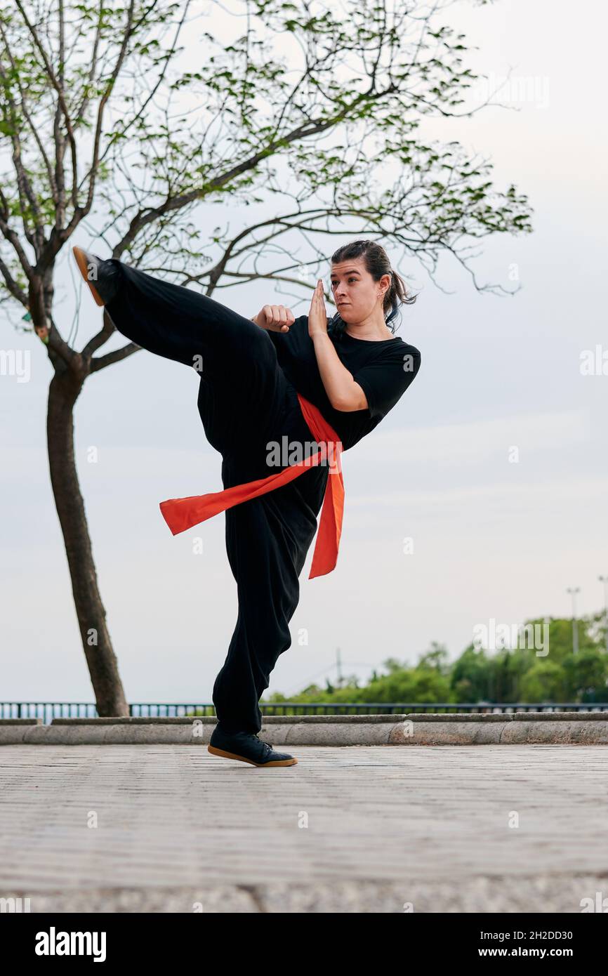 Woman throwing a kick while she is training kung fu in a park Stock ...