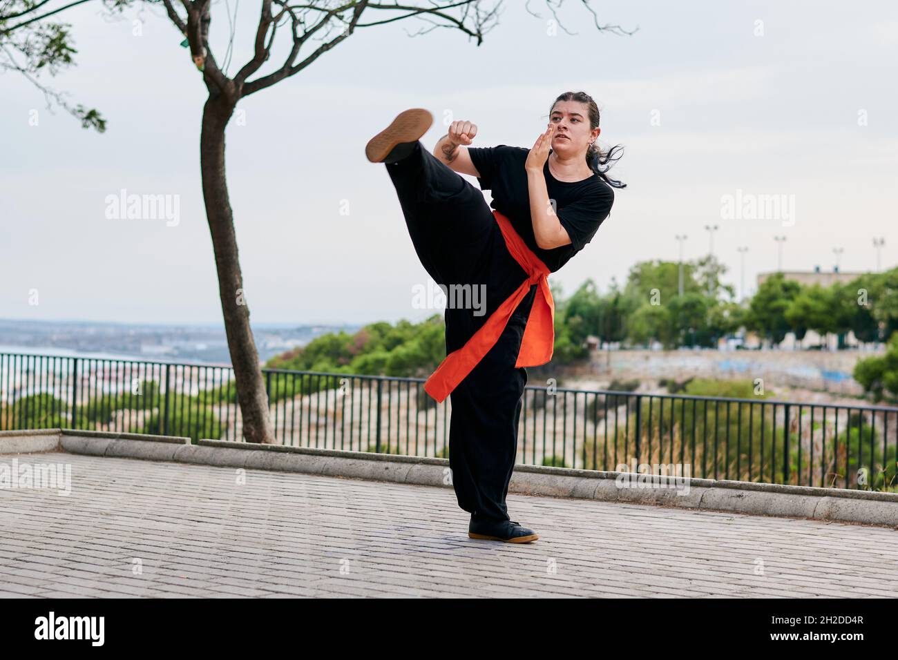 Woman throwing a kick while she is training kung fu in a park Stock ...