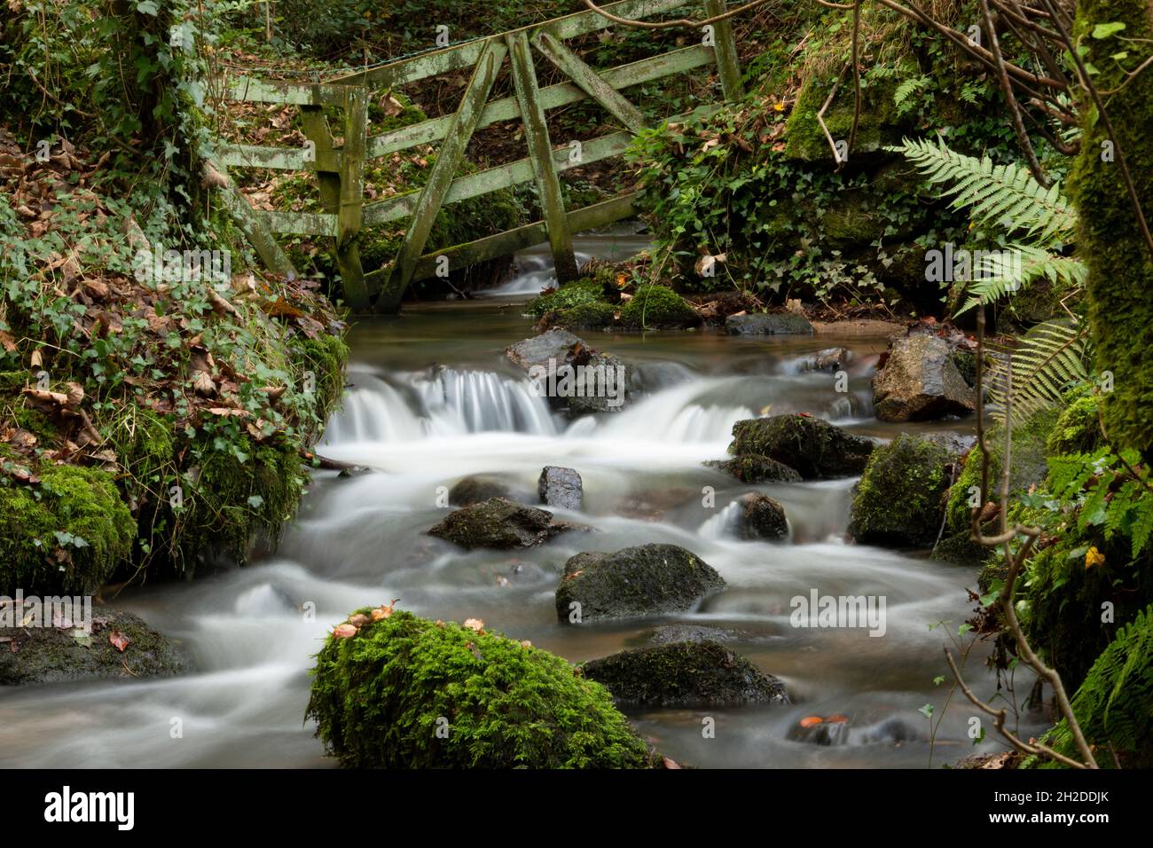 Underwater river landscape hi-res stock photography and images - Alamy