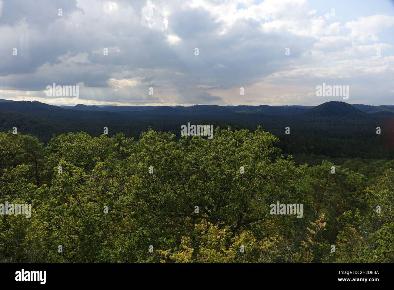 Scenic view over Palatinate Forest and the Vosges from the ruin of ...