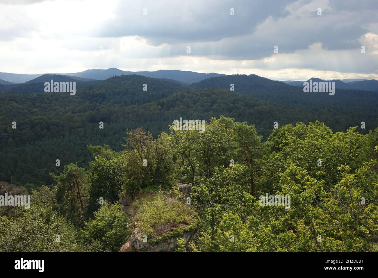Scenic view over Palatinate Forest and the Vosges from the ruin of ...