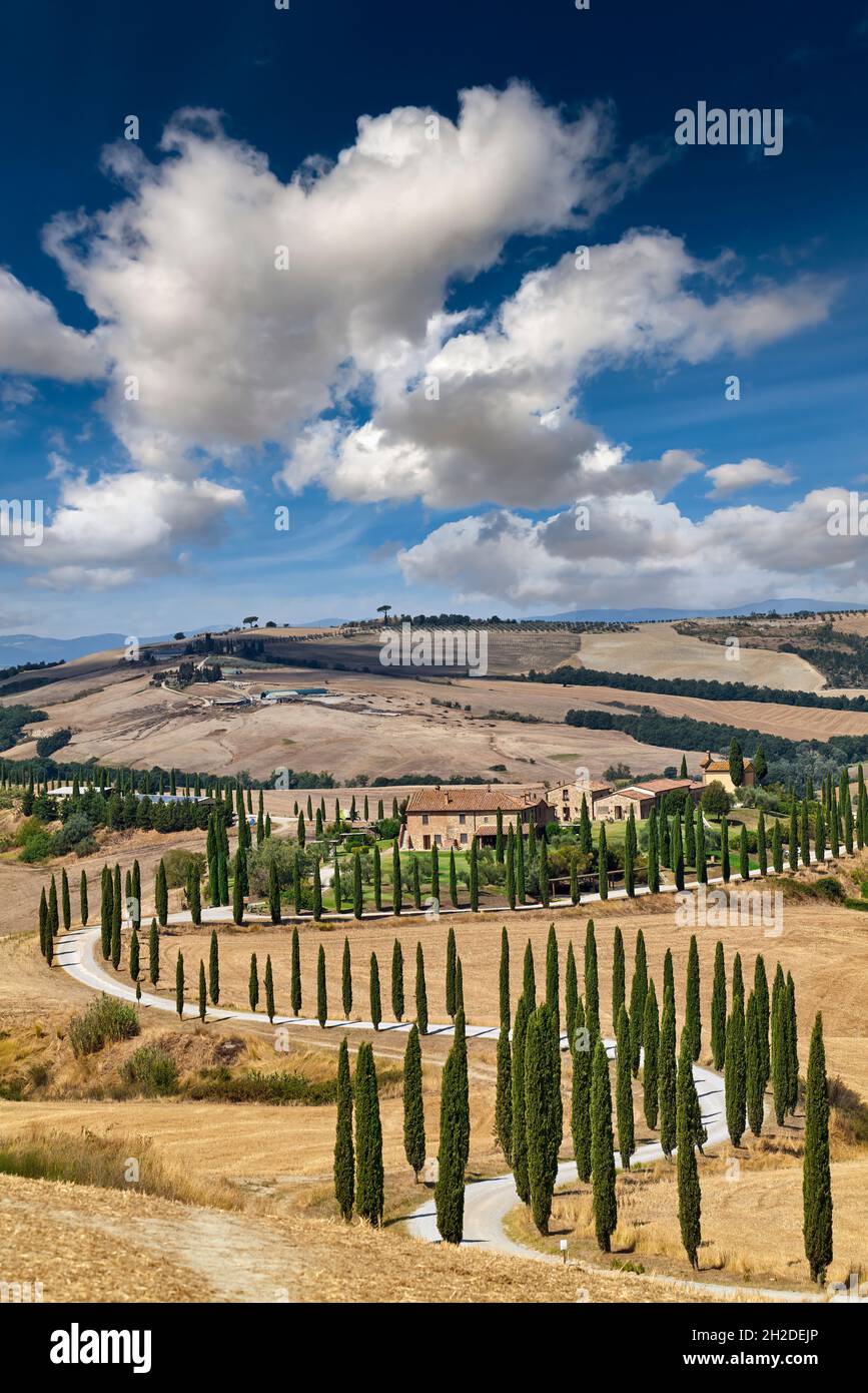 Land biome hi-res stock photography and images - Alamy