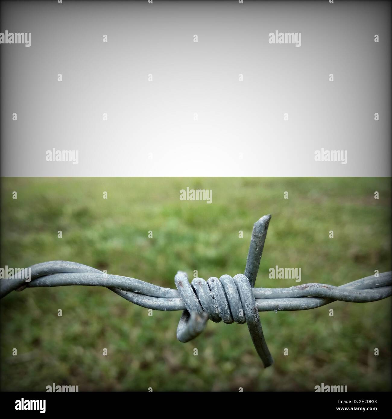 Steel barbed wire copy space above Stock Photo - Alamy