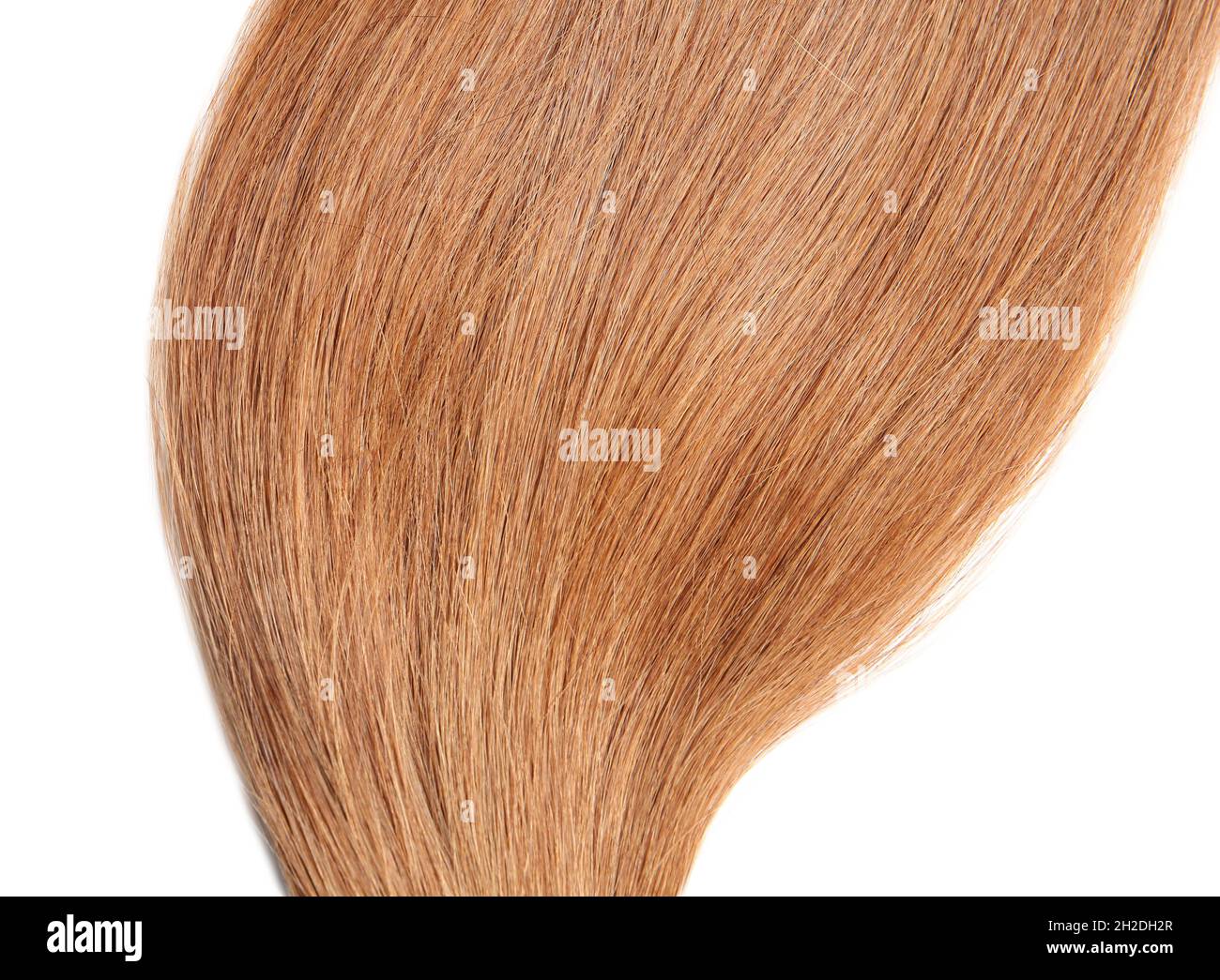 Strand of healthy red hair on white background Stock Photo - Alamy