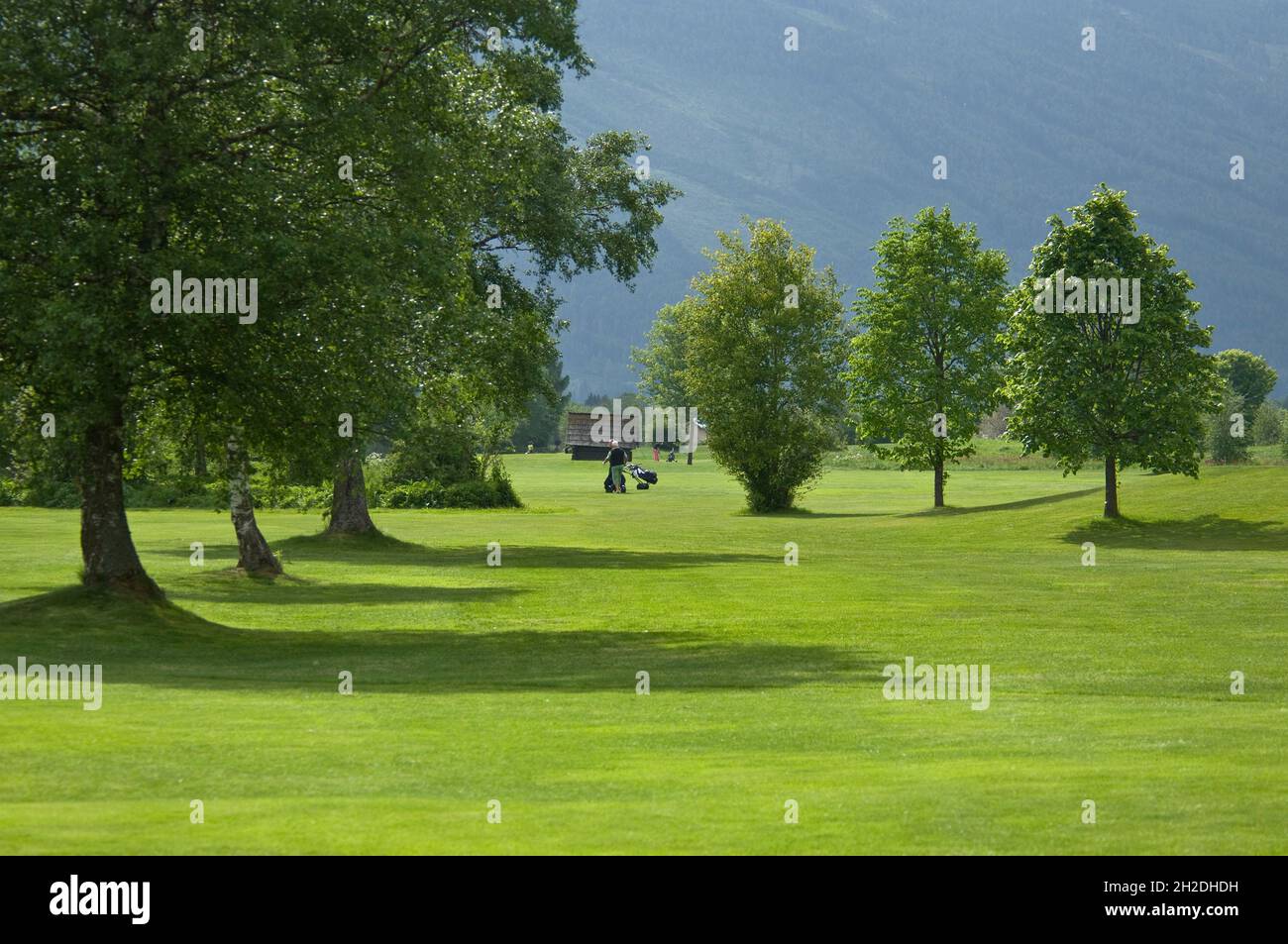 Impressions from a golf course in the alps Stock Photo - Alamy