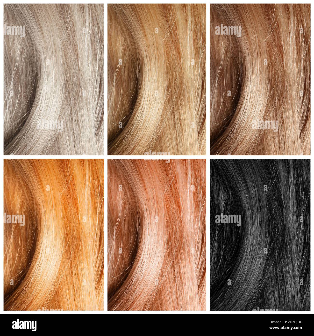 Set with color hair samples. Beauty and professional treatment Stock ...