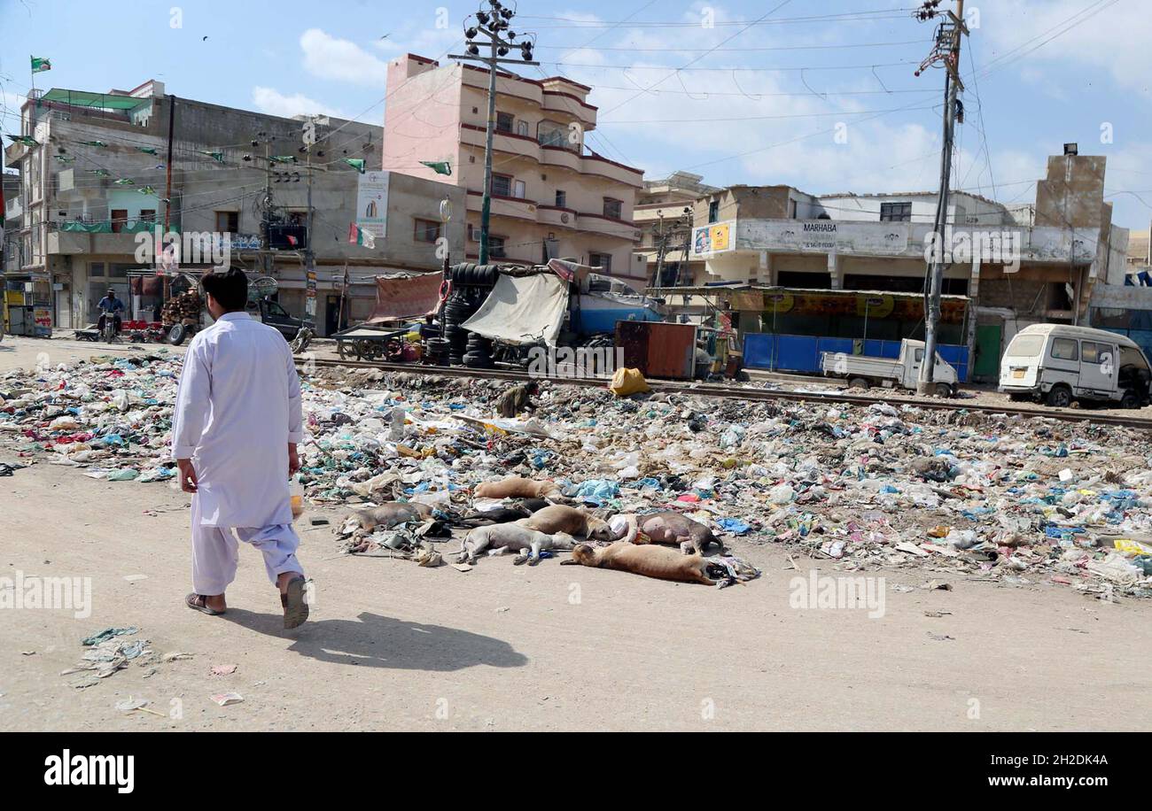 Huge heap of garbage and dead body of dogs creating problems for ...