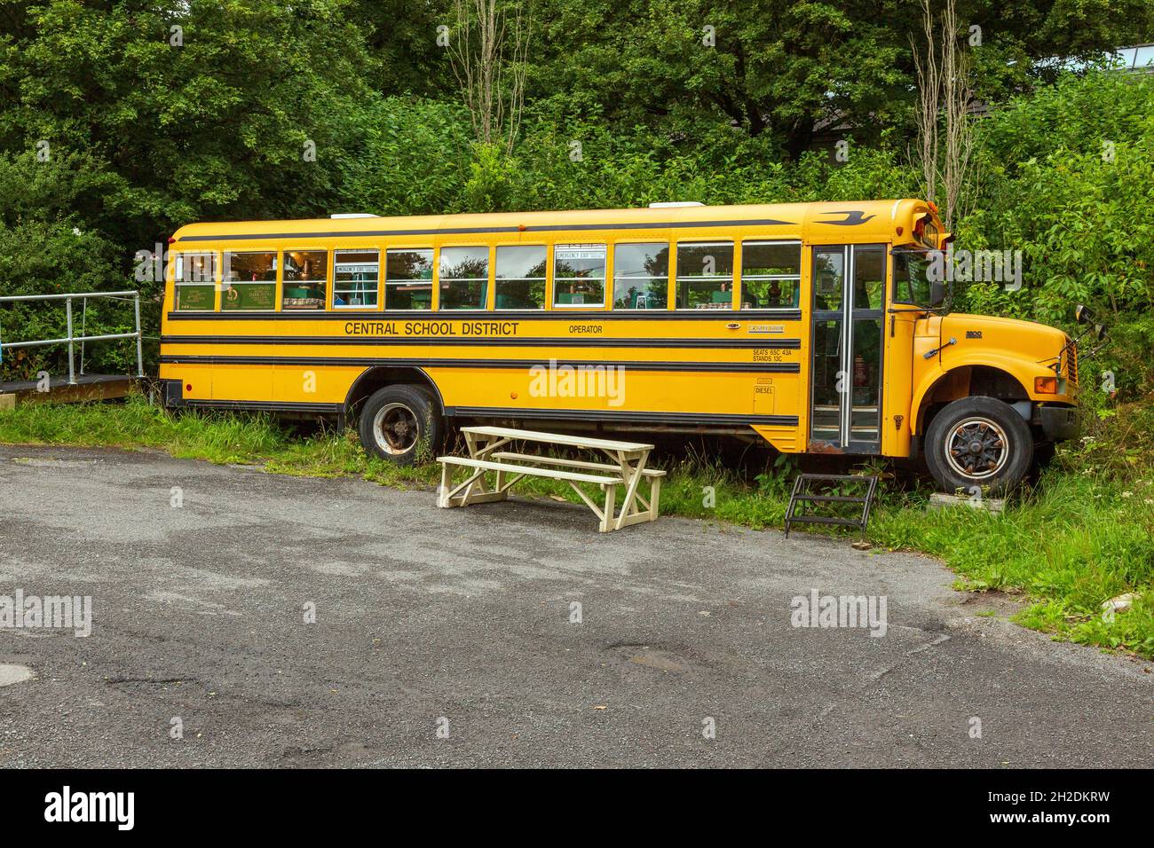 American scool bus hi-res stock photography and images - Alamy