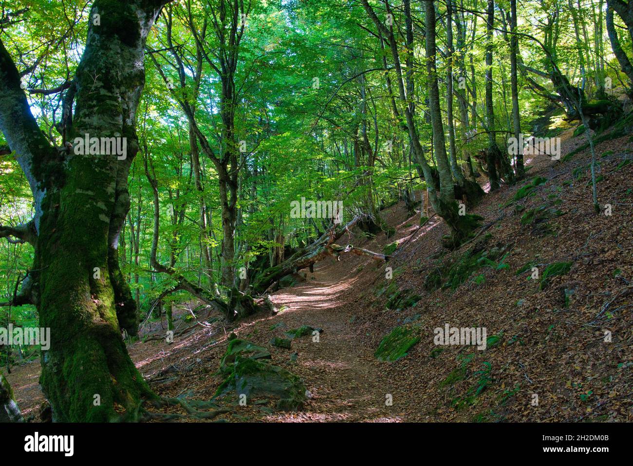 Carlac hi-res stock photography and images - Alamy