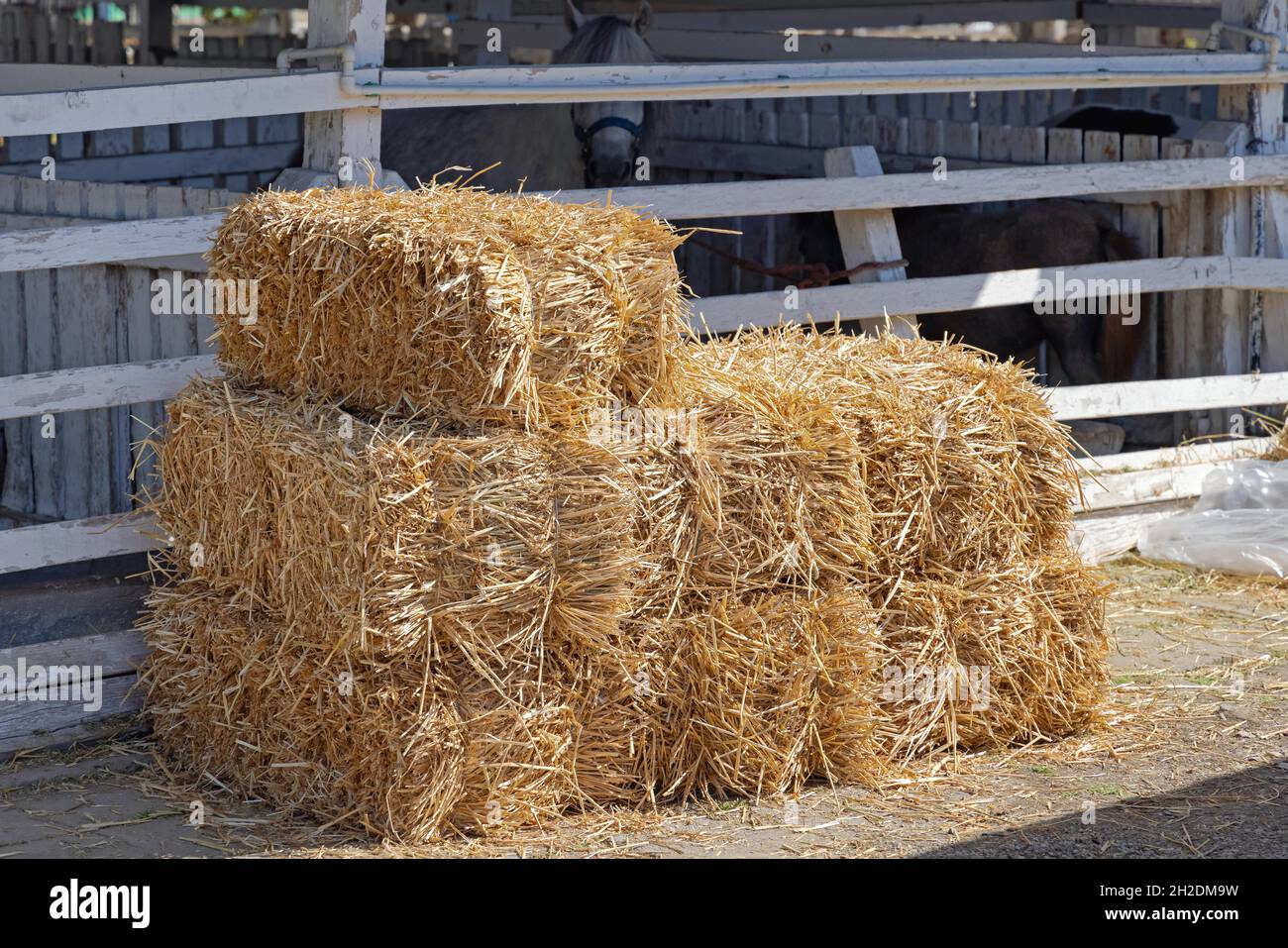 Stack of Square Hay Bales at Animal Farm Stock Photo - Alamy