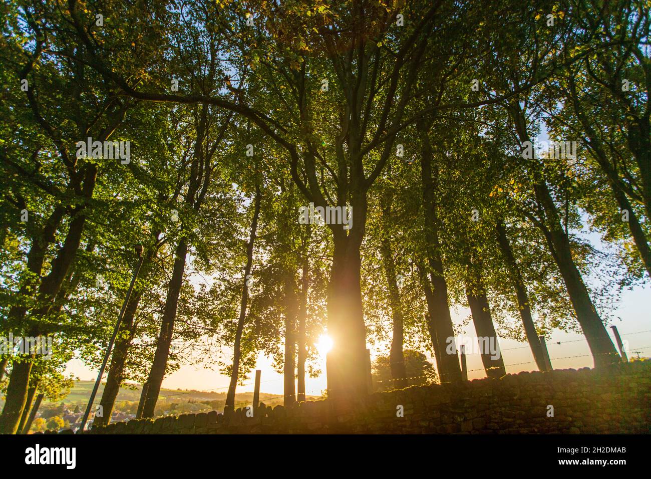 Menston hi-res stock photography and images - Alamy