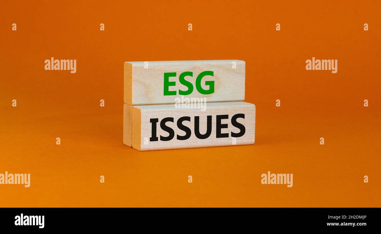 ESG environmental social governance issues symbol. Concept words ESG ...