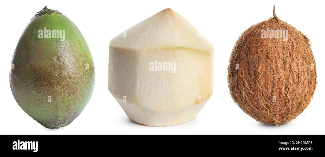 Set with different coconuts on white background Stock Photo - Alamy