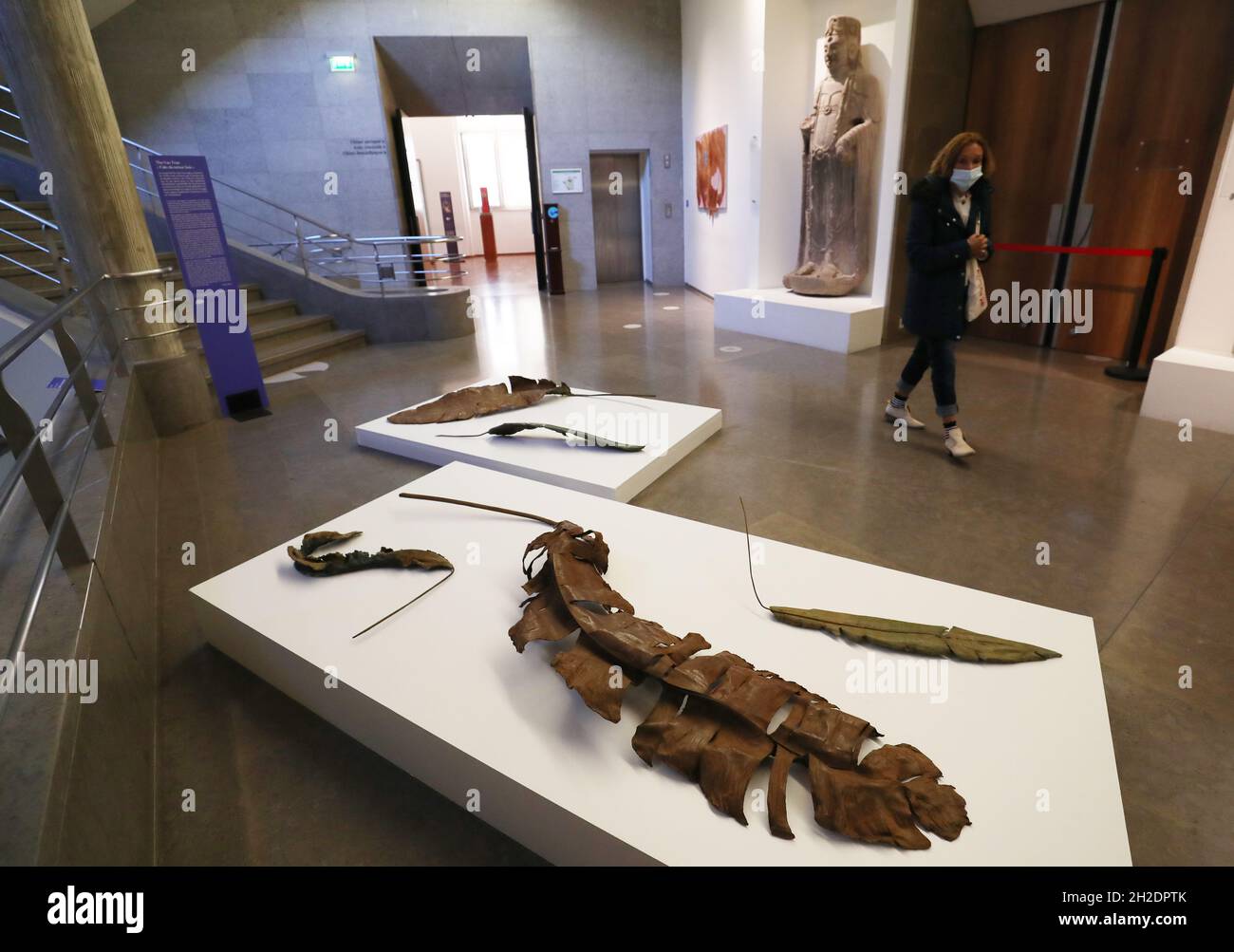 Thu van tran hi-res stock photography and images - Alamy