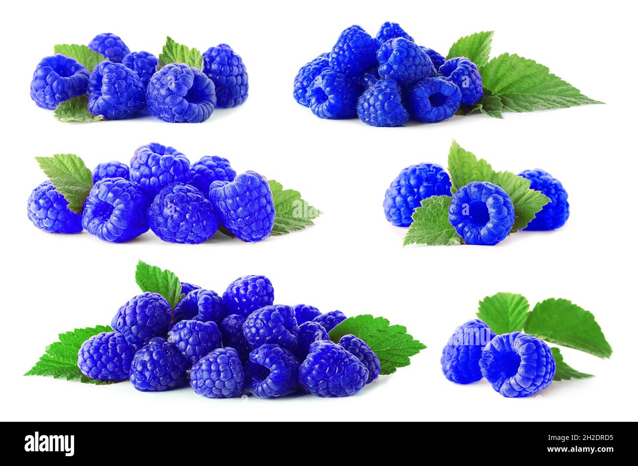 Set with blue raspberries (Rubus leucodermis) on white background Stock ...