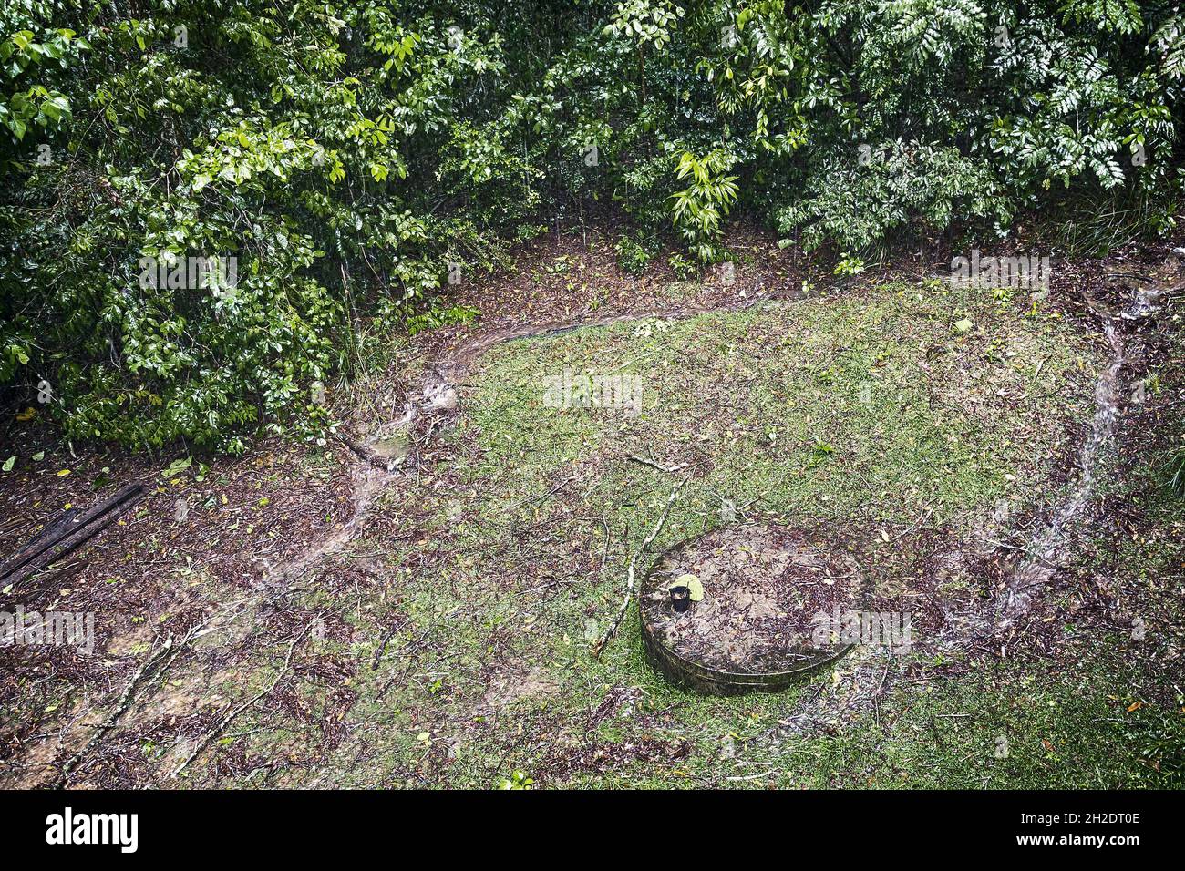Monsoonal rainfall effect on backyard Stock Photo - Alamy