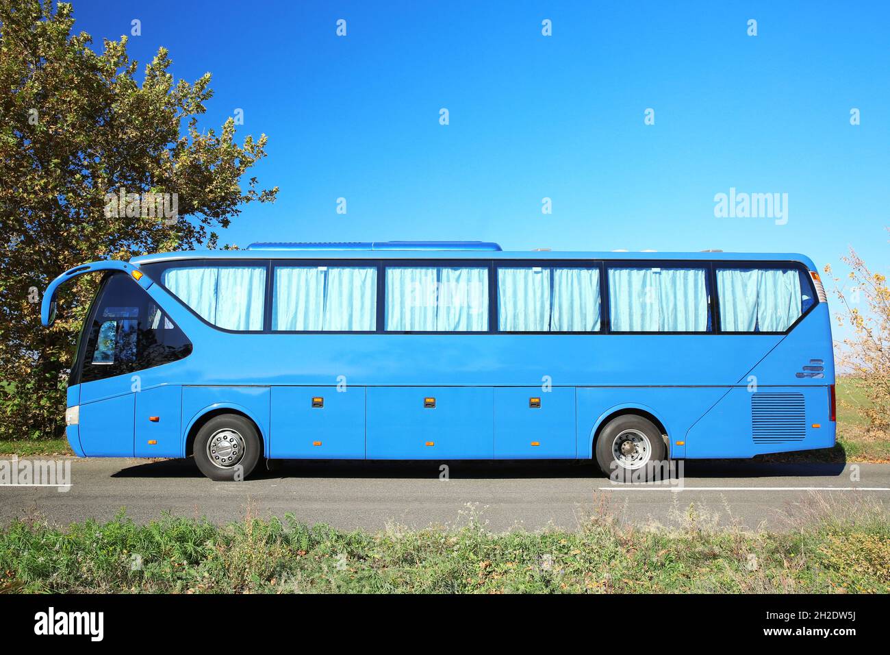 Modern blue bus on road. Passenger transportation Stock Photo - Alamy