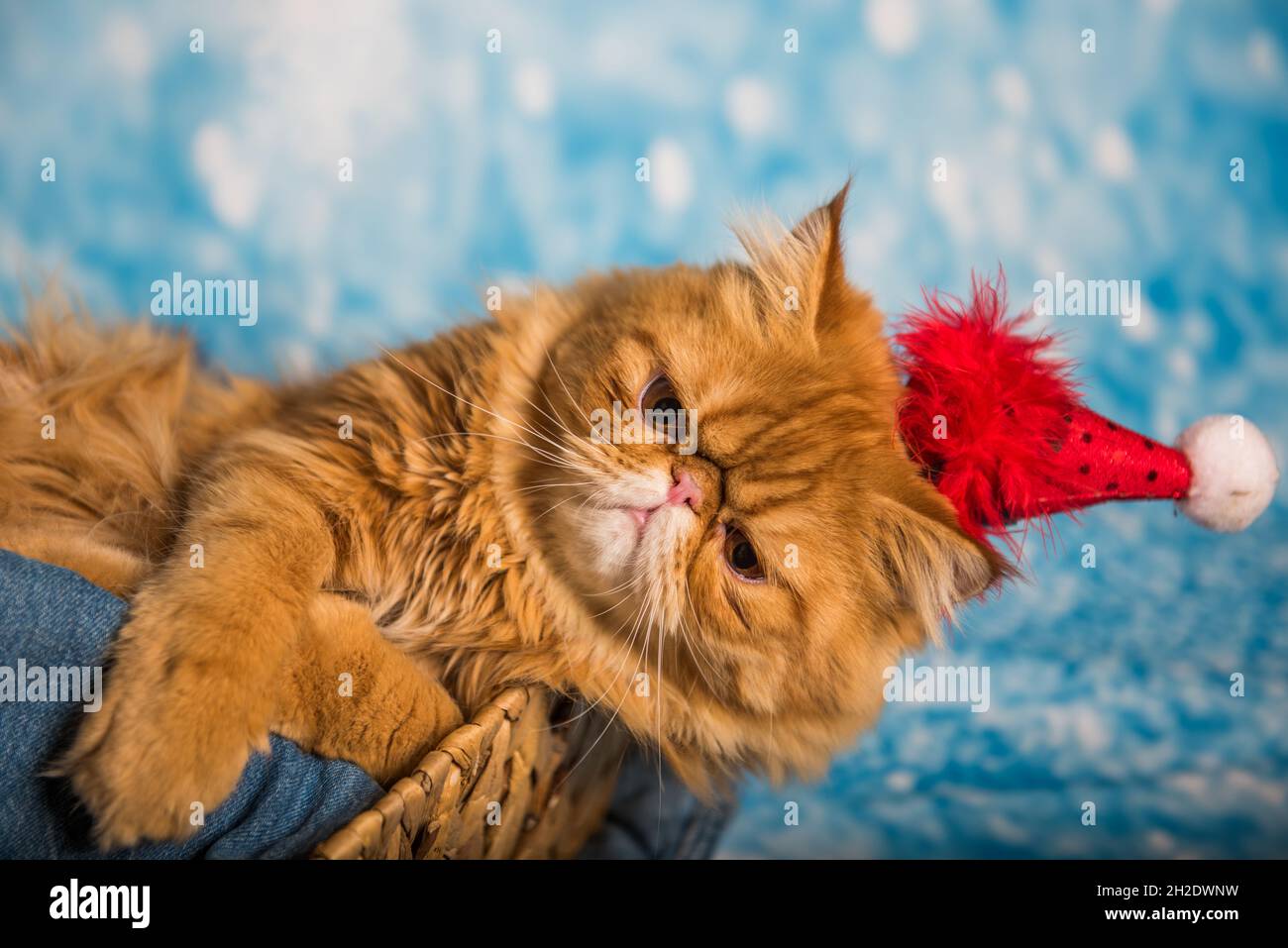 Angry santa hat hi-res stock photography and images - Alamy