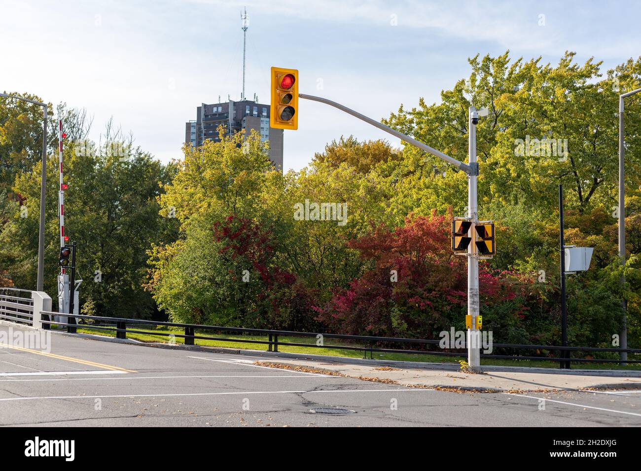 Traffic light on the street of Ottawa city in Canada in autumn season ...