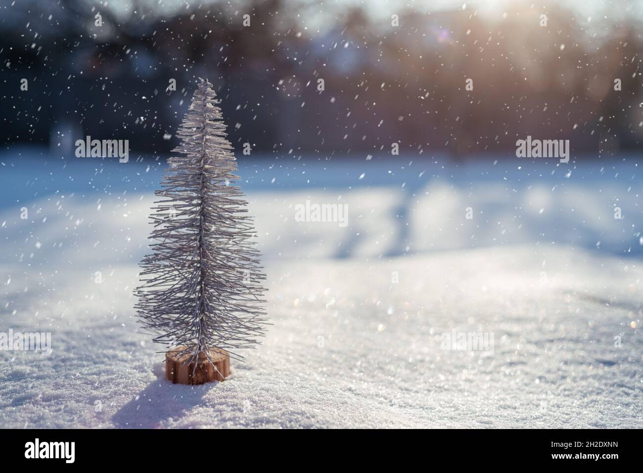 Christmas tree on the snow winter holidays background Stock Photo - Alamy