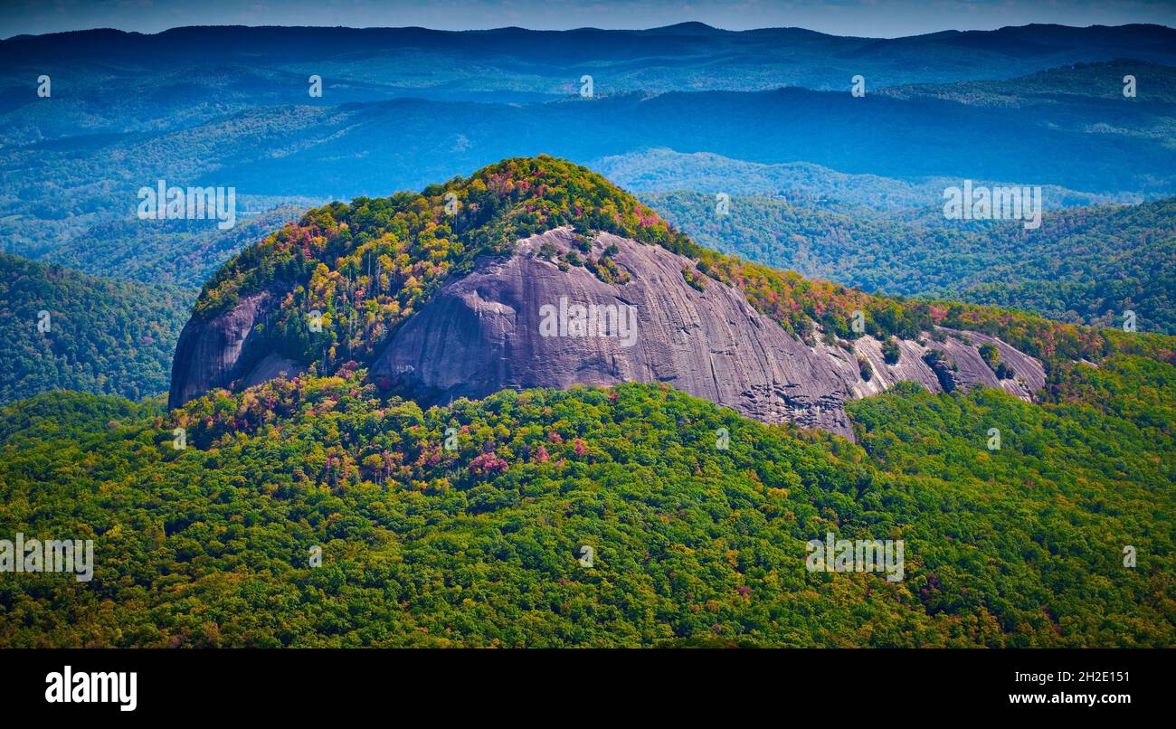 Western north carolina forest hi-res stock photography and images - Alamy