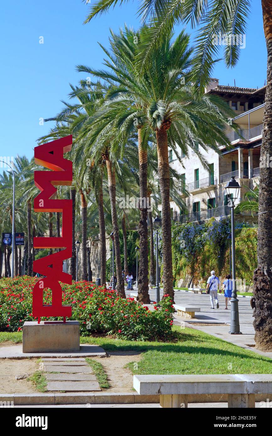 Red Palma sign under characteristic palm trees. Palma de Mallorca ...