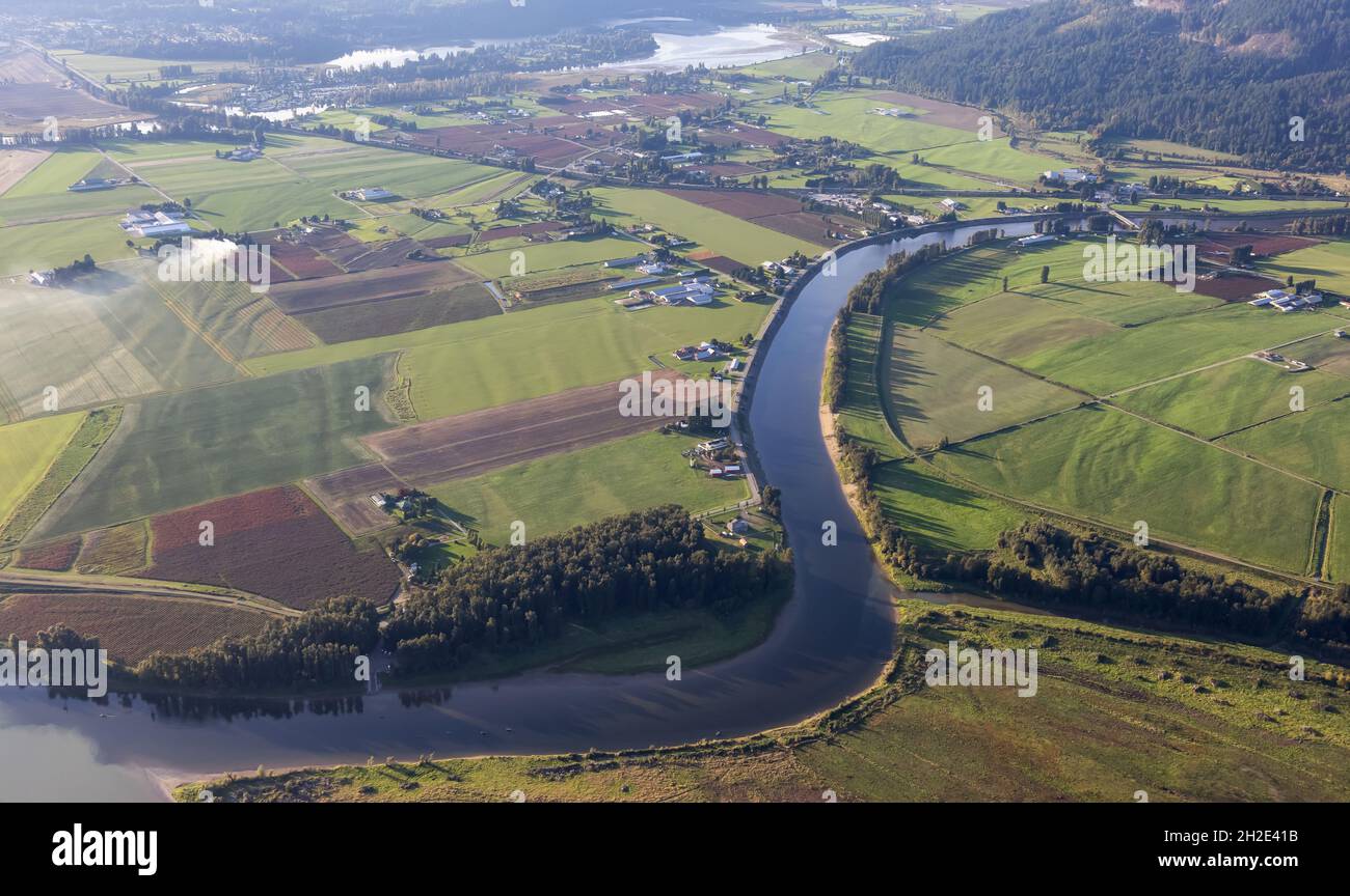 Aerial View of green Farm Field in Fraser Valley Stock Photo - Alamy