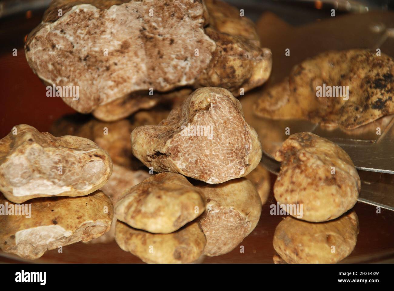 White truffles and truffle slicer on a steel tray Stock Photo - Alamy