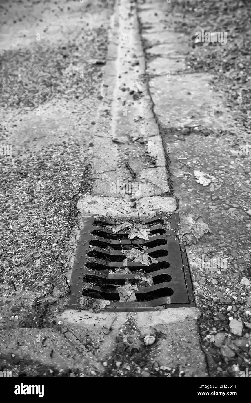 Detail of drain with tree leaf in autumn Stock Photo - Alamy