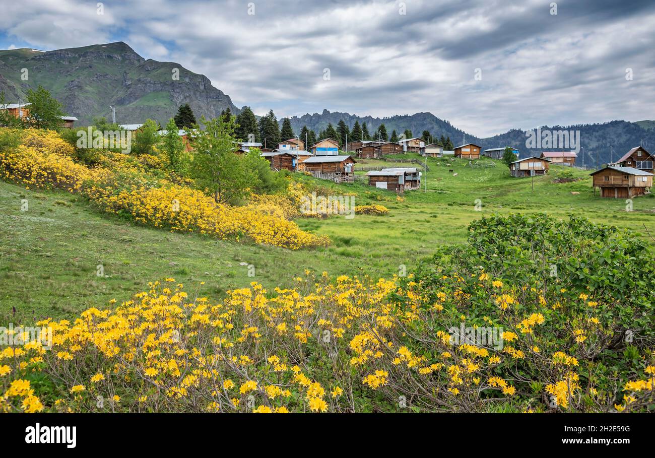 Nature of artvin hi-res stock photography and images - Alamy
