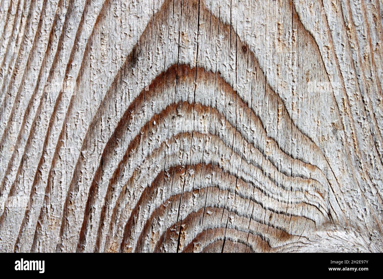 light wood with interesting grain Stock Photo - Alamy