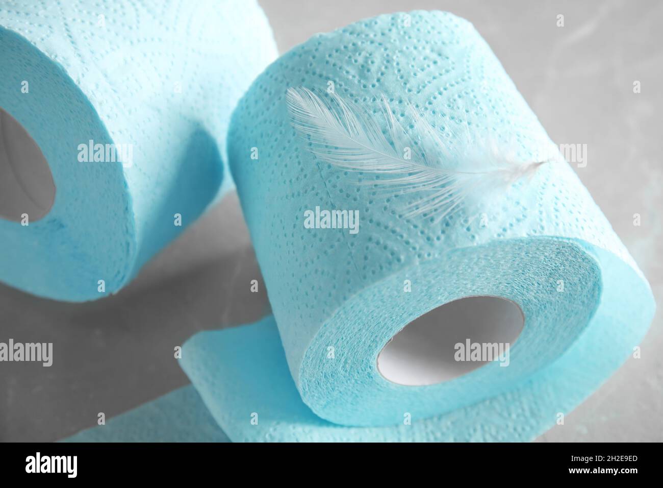 Toilet paper rolls with feather on grey background Stock Photo - Alamy