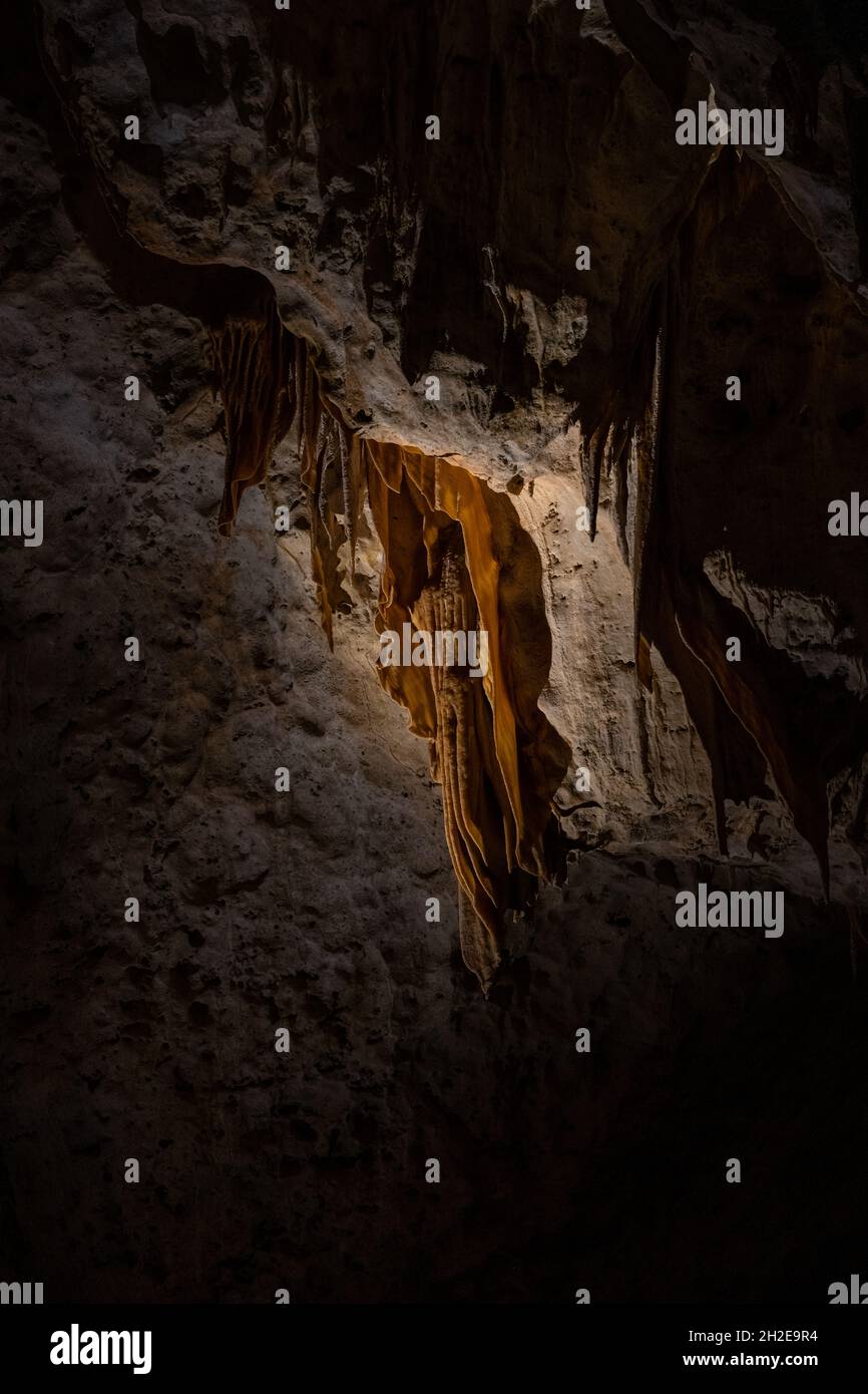 Drapery Formations Hang From The Ceiling Of Carlsbad Caverns National ...
