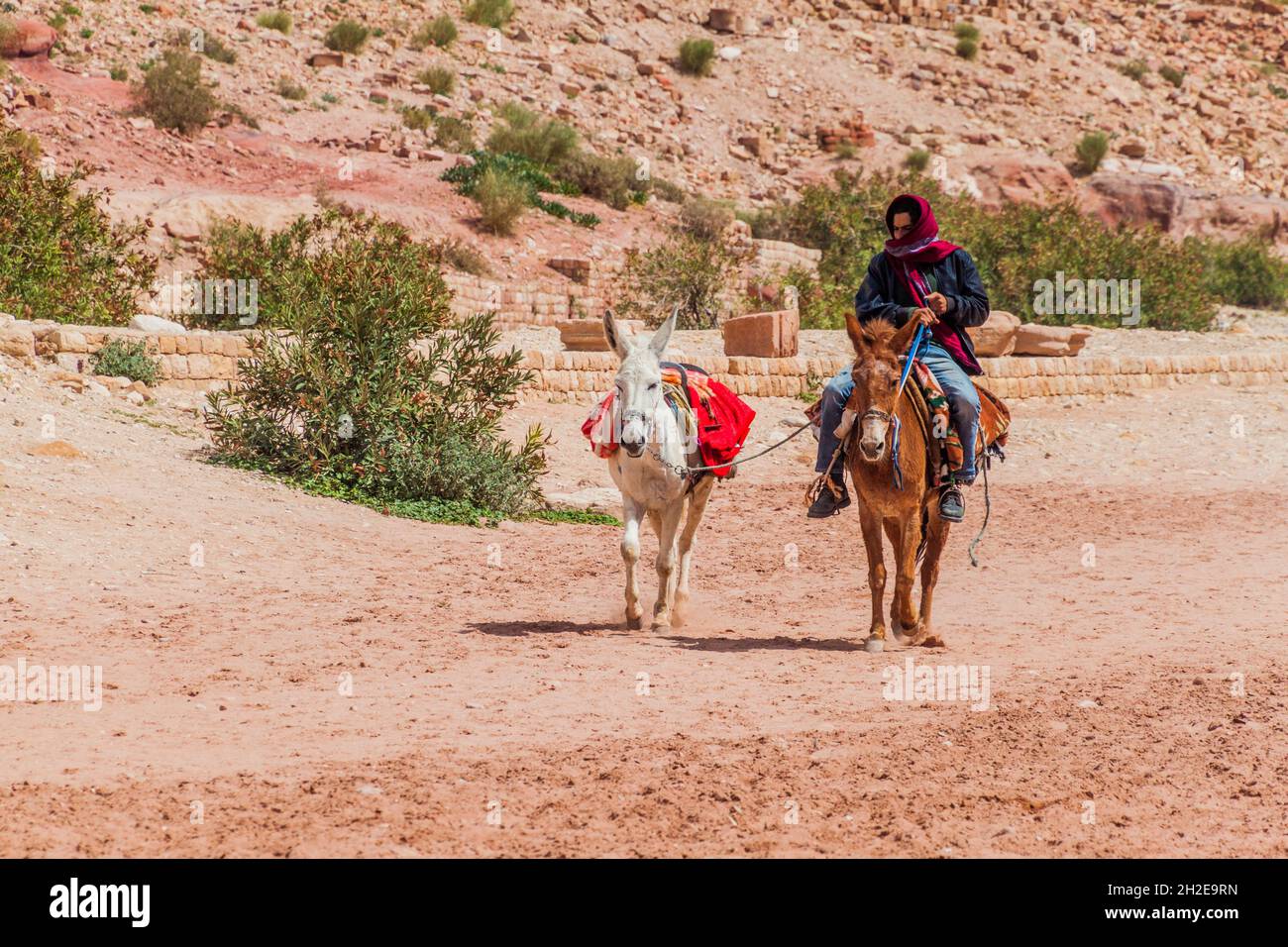 Donkey rider hi-res stock photography and images - Alamy