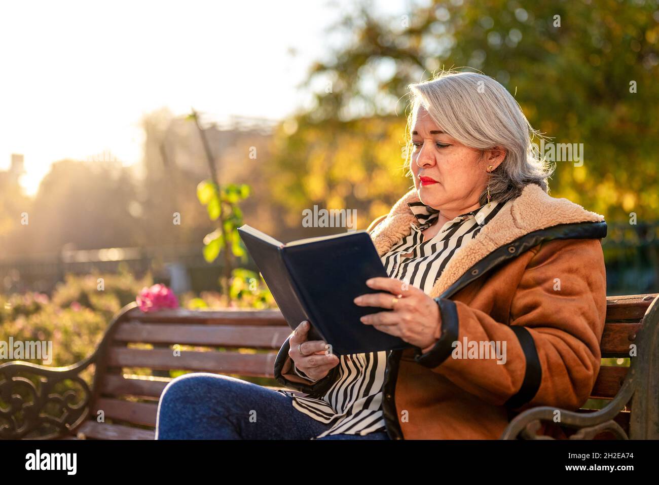 Mature woman reading a book outdoor at the park Stock Photo - Alamy