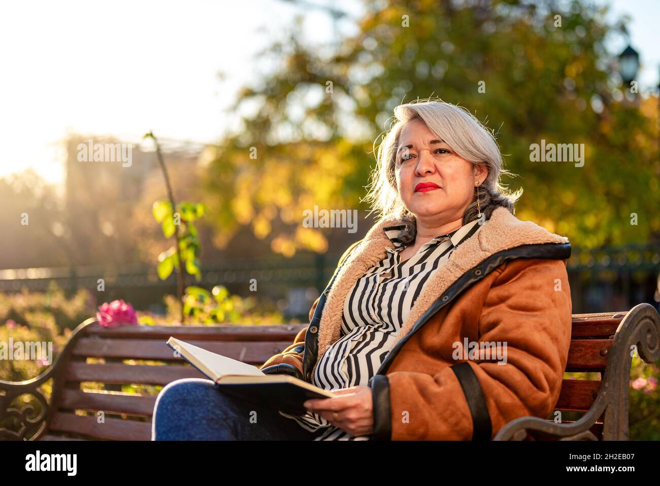 Golden hour reading a book hi-res stock photography and images - Alamy