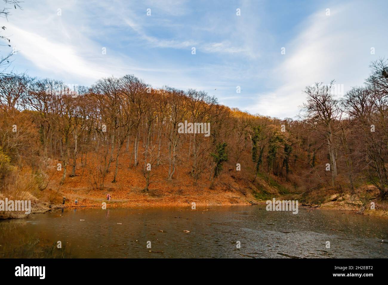 Lake near the trees Stock Photo - Alamy