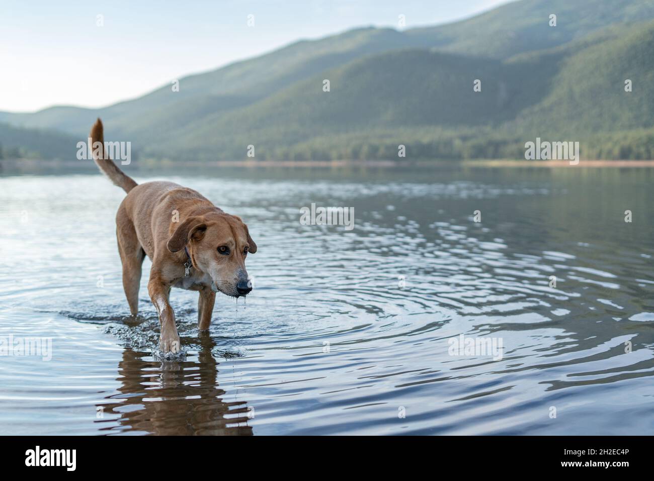 Cool lake hi-res stock photography and images - Alamy