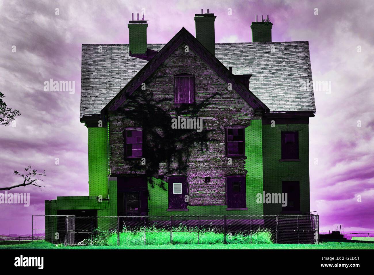BIRTH OF THE NIGHTMARE: A spooky house with vines growing on the front ...