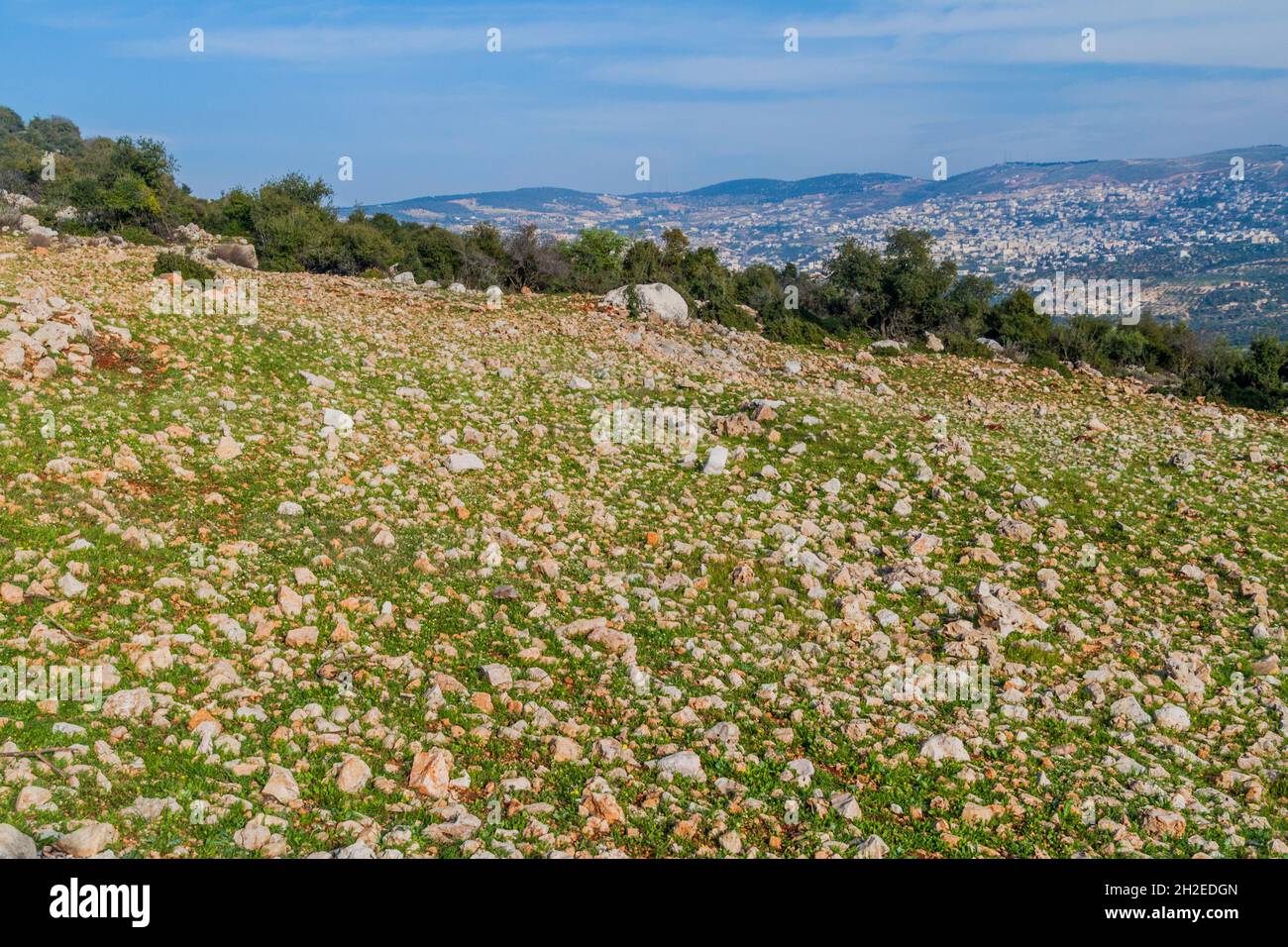 Agriculture jordan field green hi-res stock photography and images - Alamy