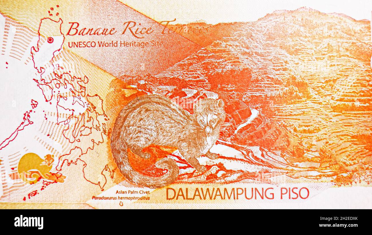 20 Piso banknote, Bank of Philippines, closeup bill fragment shows Map ...